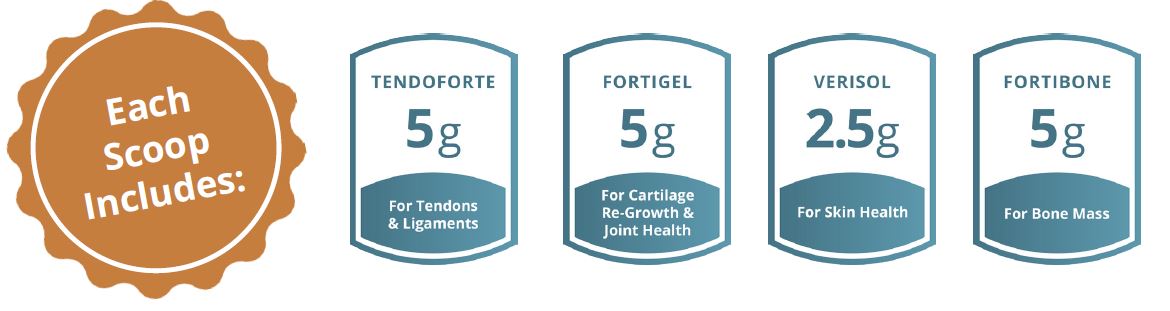 KEY COLLAGEN, 525g - NutriKey